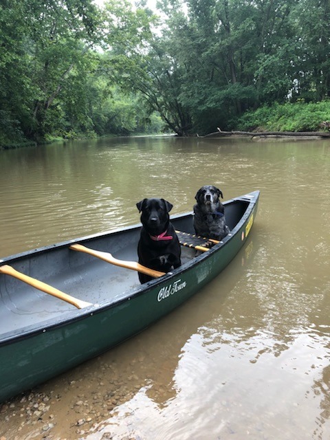 Canoe & Kayak Rentals OH - Hocking Hills Canoe Livery